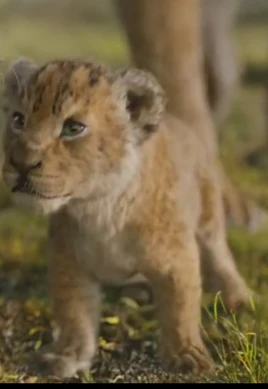 Kion | The live action lion king Wiki | Fandom
