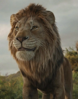 Simba | The live action lion king Wiki | Fandom