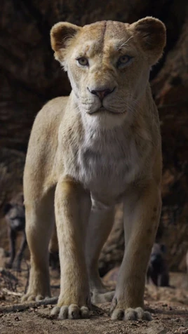 Sarabi | The live action lion king Wiki | Fandom