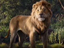 Simba | The live action lion king Wiki | Fandom