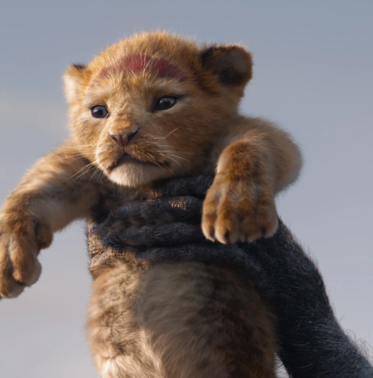 Simba's presentation | The live action lion king Wiki | Fandom