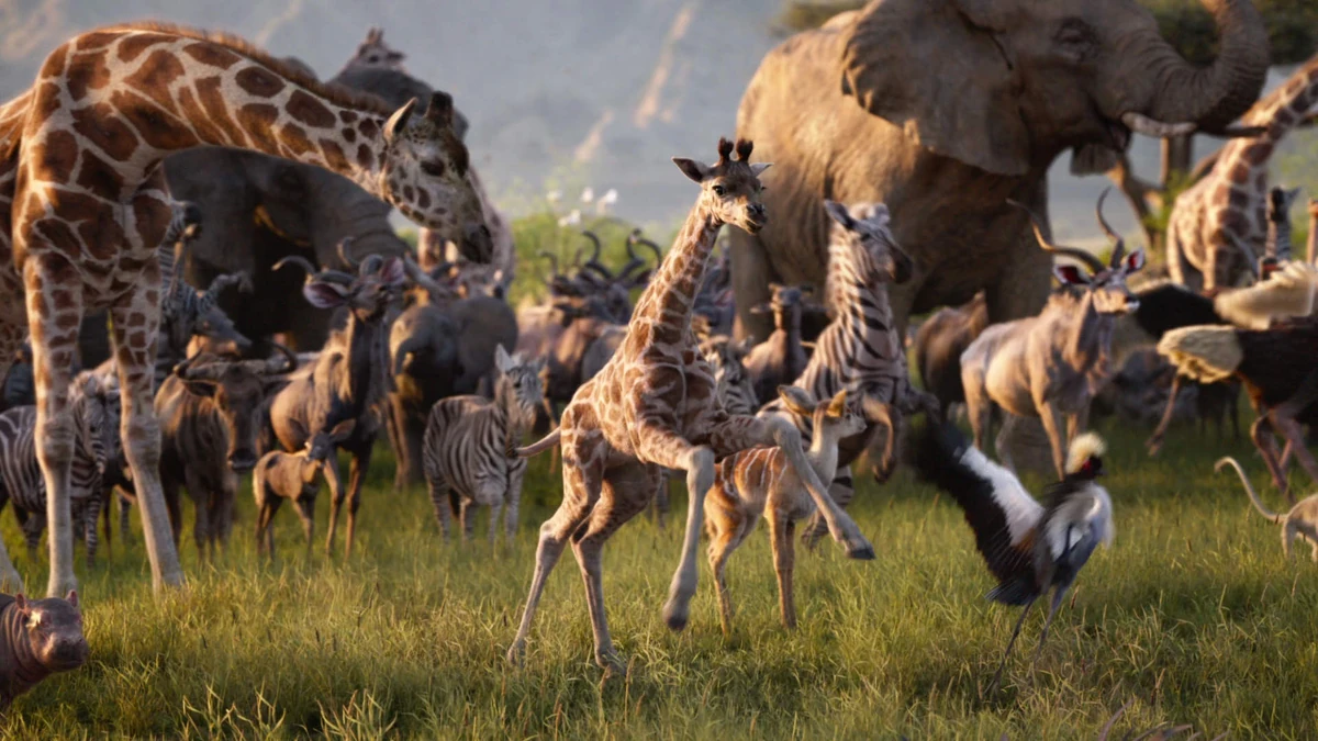 Pride Landers | The live action lion king Wiki | Fandom