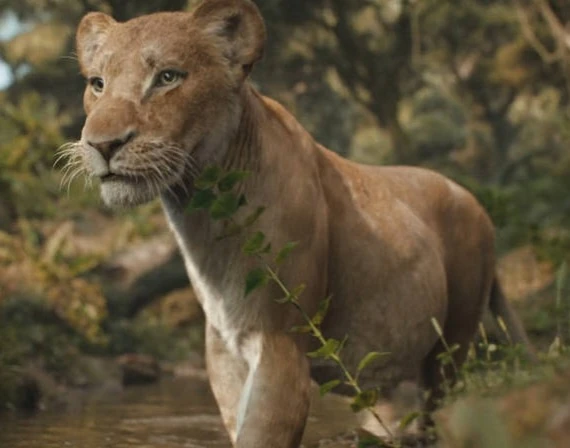 Nala | The live action lion king Wiki | Fandom