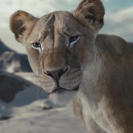 Sarabi | The live action lion king Wiki | Fandom