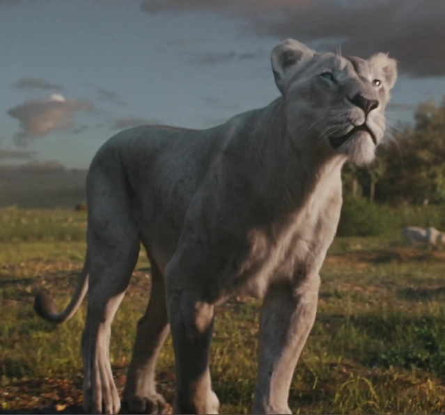 Amara | The live action lion king Wiki | Fandom