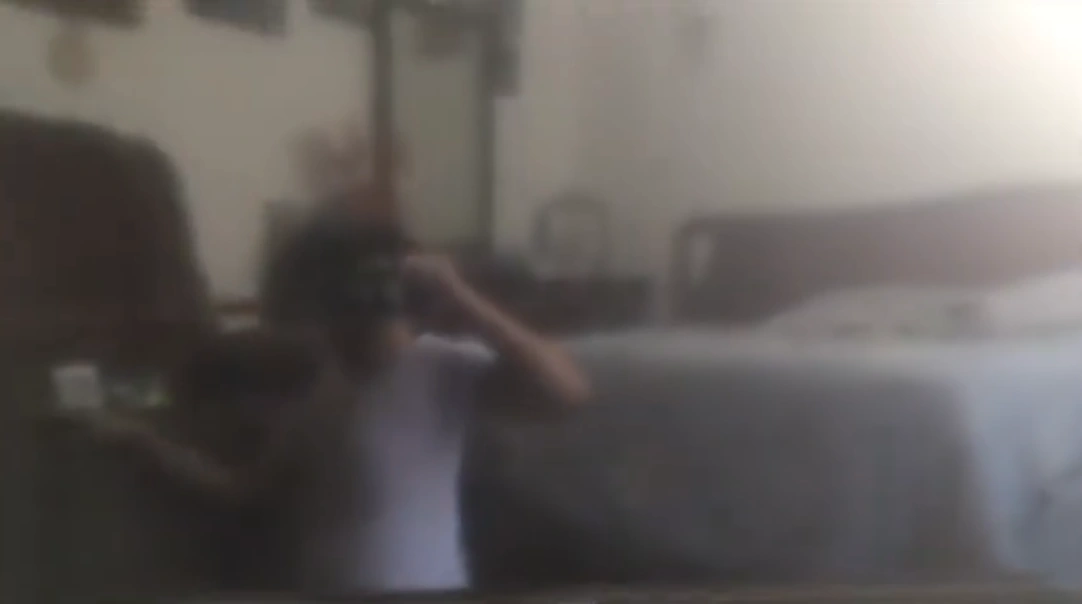 Creator Sightings | The Logo Show Encyclopedia Wiki | Fandom