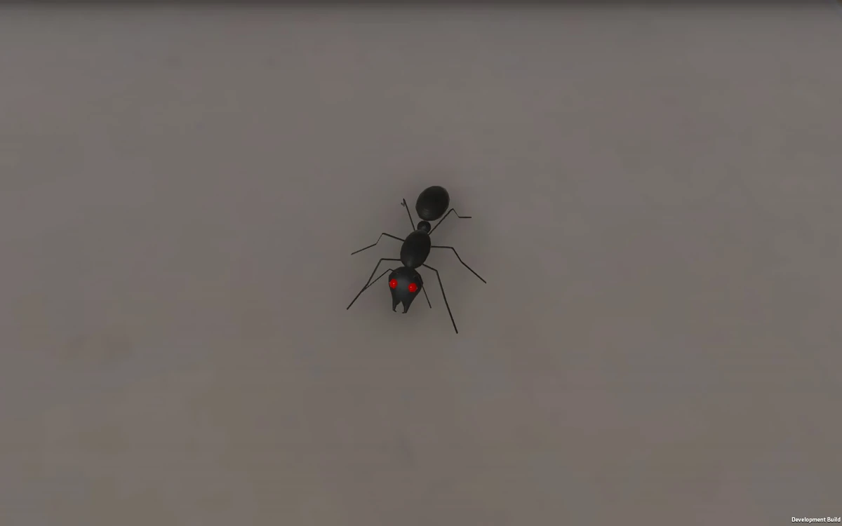 Ant | The Long Drive Wiki | Fandom