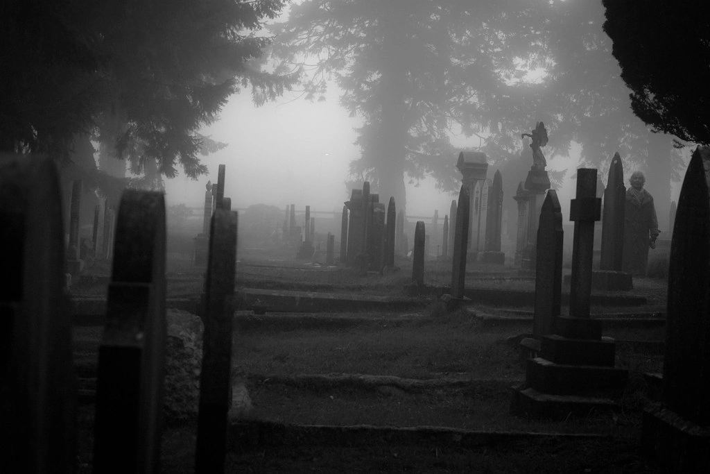 The Cemetery | The Loominex Wiki | Fandom