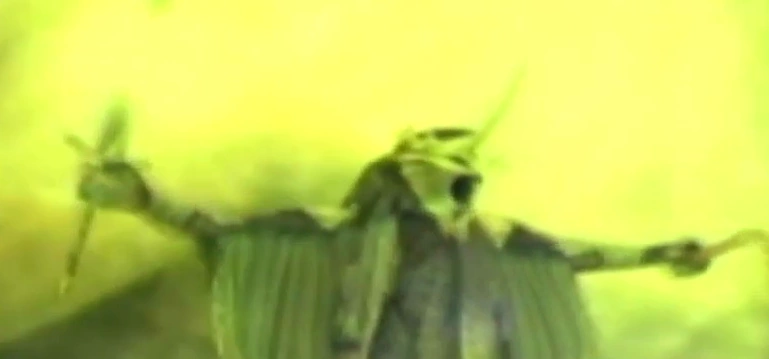 Evil | The Lord of the Rings: The Third Age Wiki | Fandom