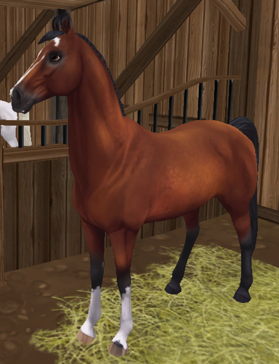 Ques | The Lost Herd Wiki | Fandom