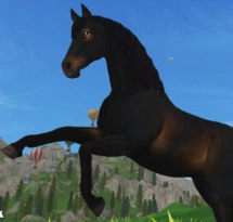 Micah | The Lost Herd Wiki | Fandom