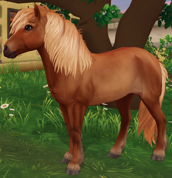 Prince | The Lost Herd Wiki | Fandom