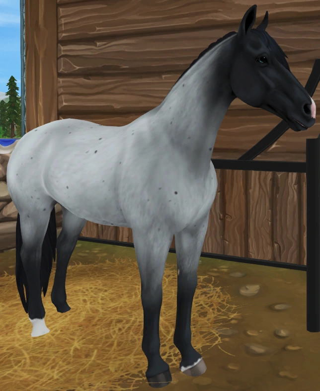 Shailow | The Lost Herd Wiki | Fandom