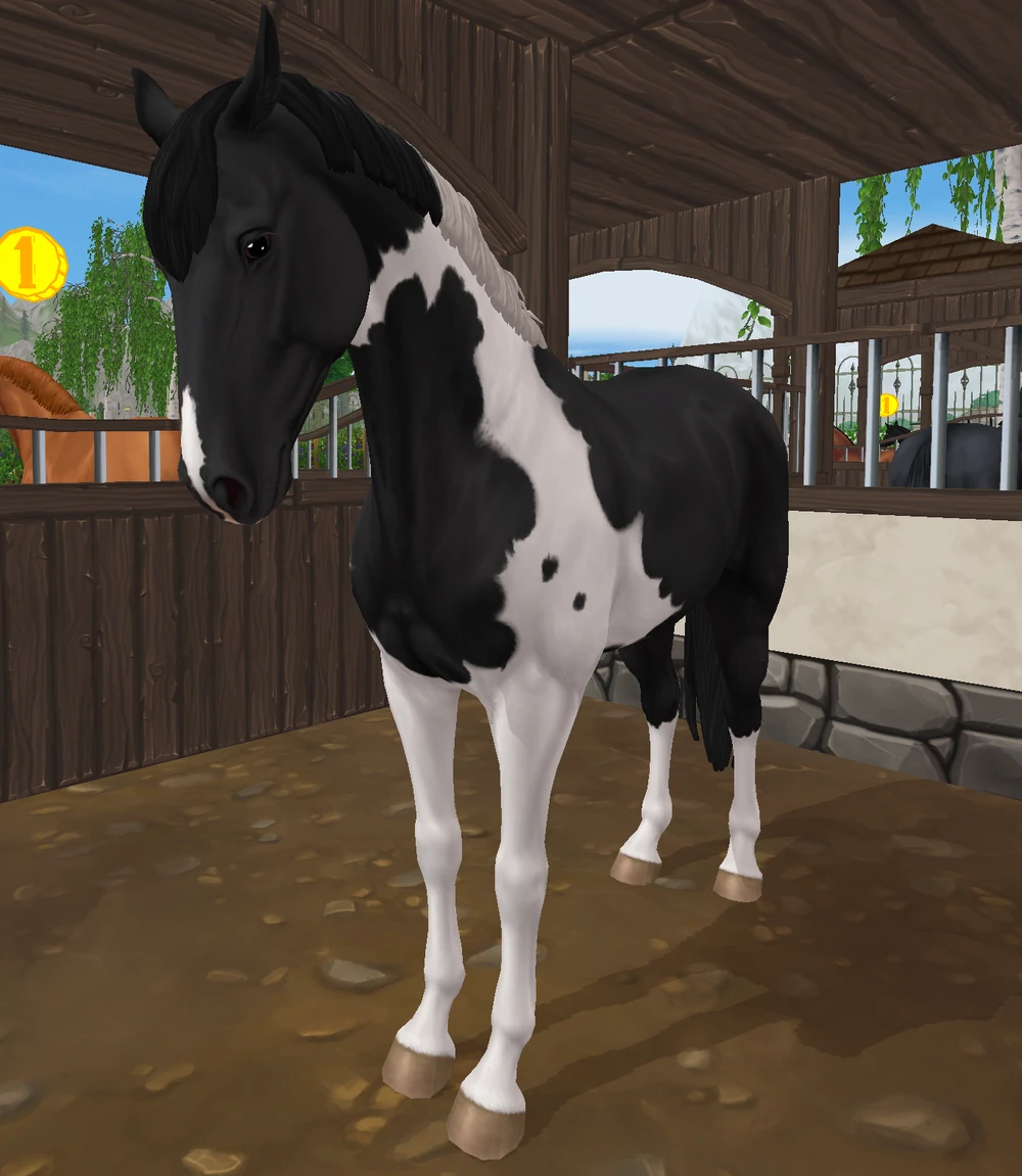 Pirate | The Lost Herd Wiki | Fandom