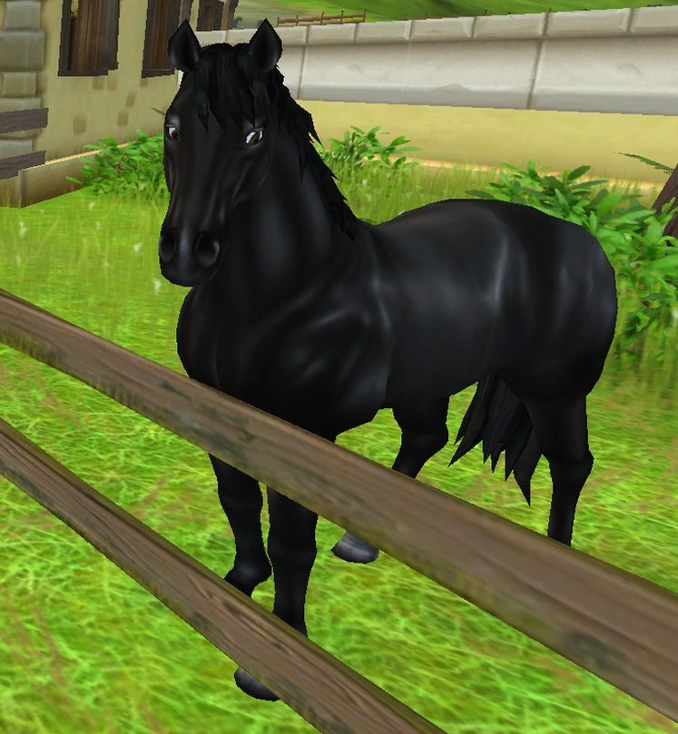 Boone The Lost Herd Wiki Fandom