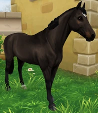 Brooks The Lost Herd Wiki Fandom