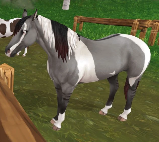 Hermione | The Lost Herd Wiki | Fandom