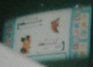 Honoguma | The Lost Pokémon Wiki | Fandom