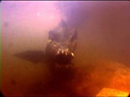 White River Monster | The Lost Tapes Community Wiki | Fandom