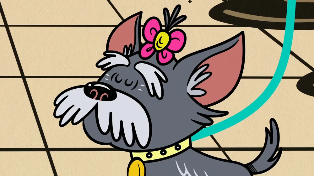 Fluffy | The Loud Pets Wiki | Fandom