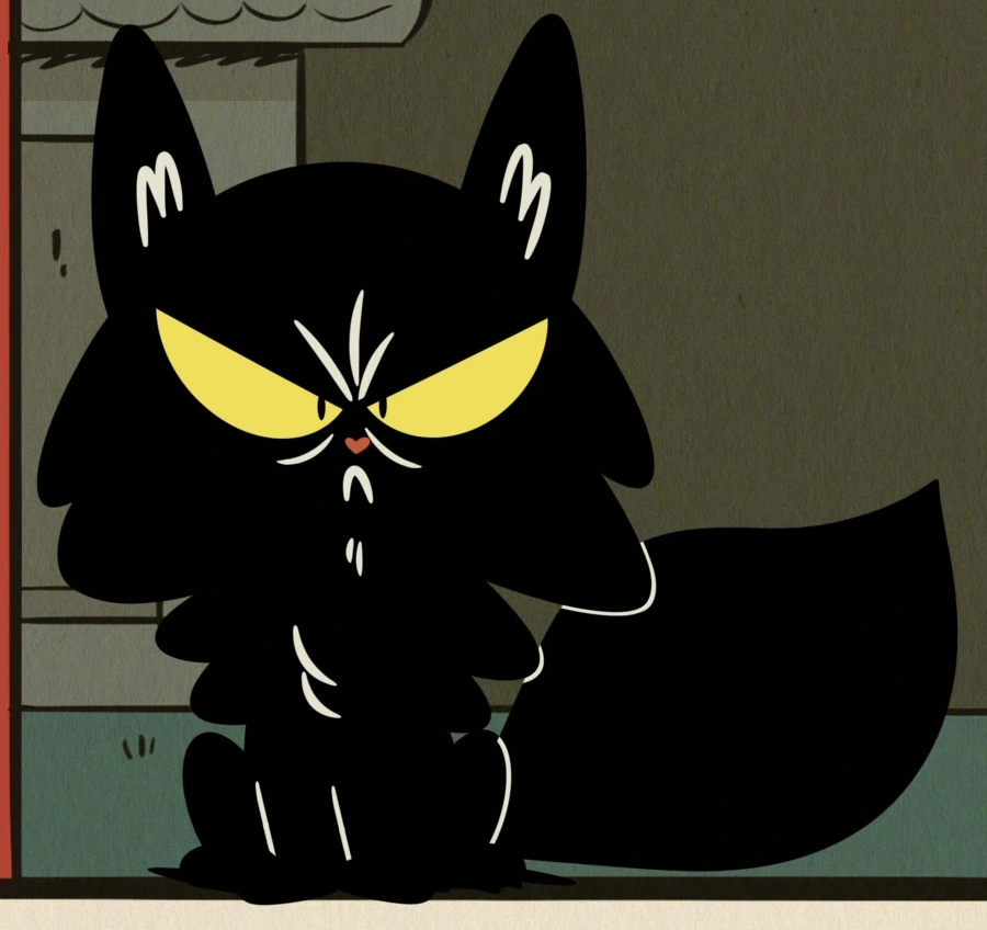 The Kitty | The Loud Pets Wiki | Fandom