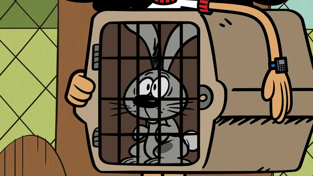 Jazzy/Gallery | The Loud Pets Wiki | Fandom