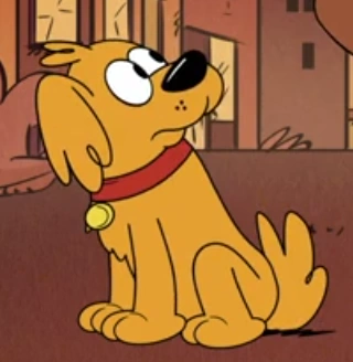 Goldie the Dog | The Loud Pets Wiki | Fandom