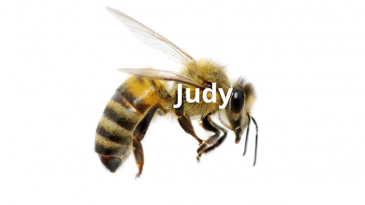 Judy Ruff | The Mackenzie Bomek Tatum A Full New Years TV 3D Wiki | Fandom