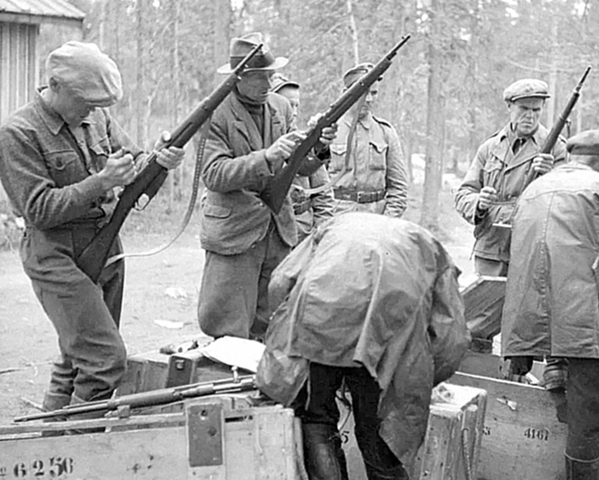 Wolf Nation | The mafia Wiki | Fandom