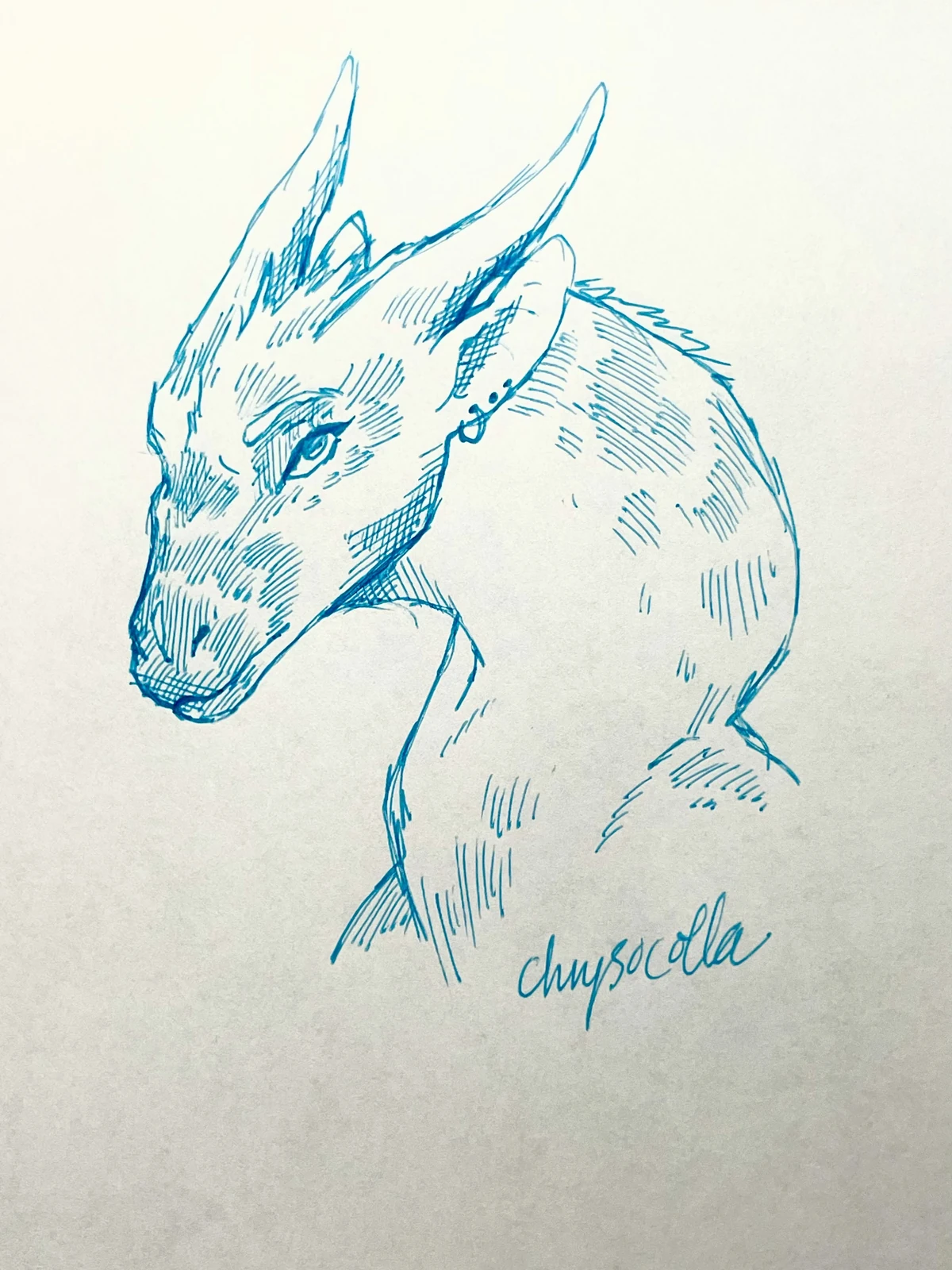 Chrysocolla | The Mage Den Wiki | Fandom