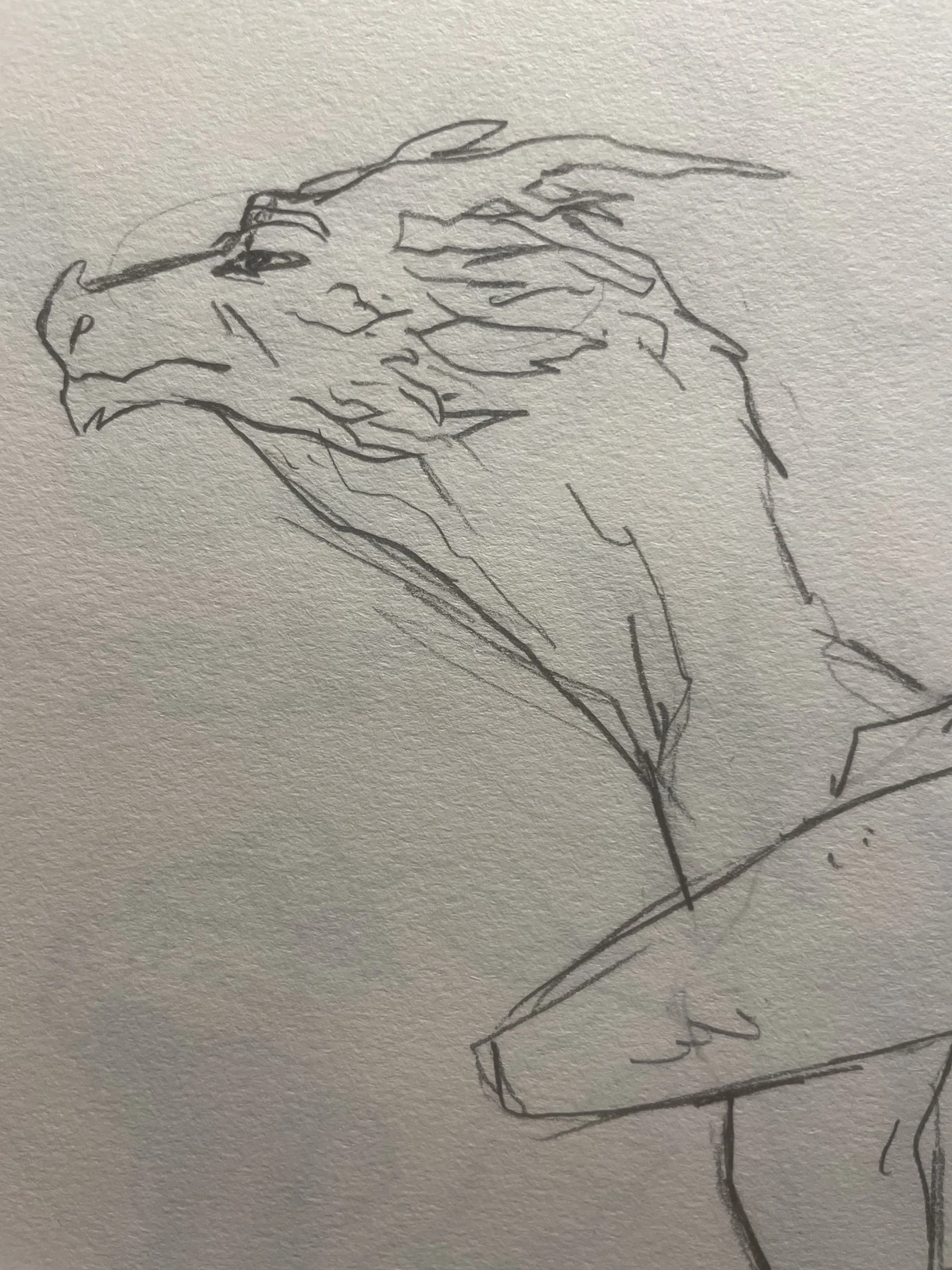 The Den of Mages (disambiguation) | The Mage Den Wiki | Fandom