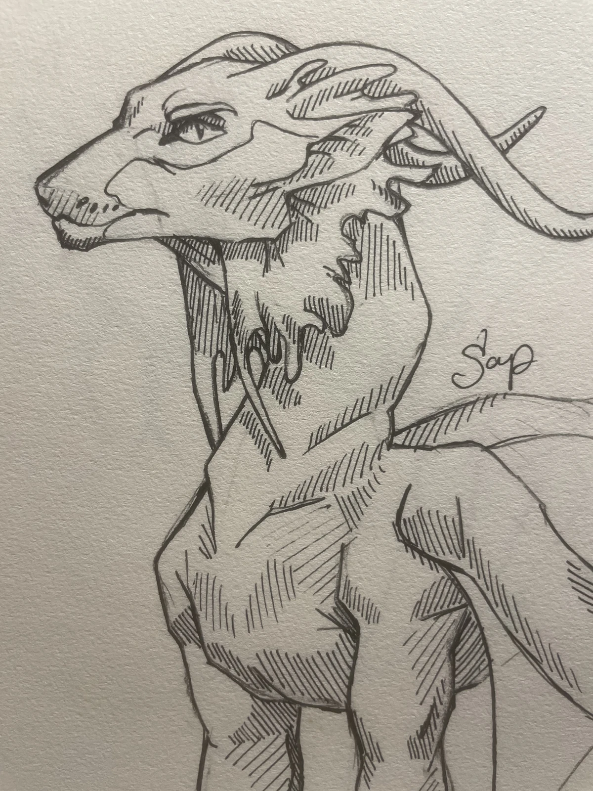 Sapsucker | The Mage Den Wiki | Fandom