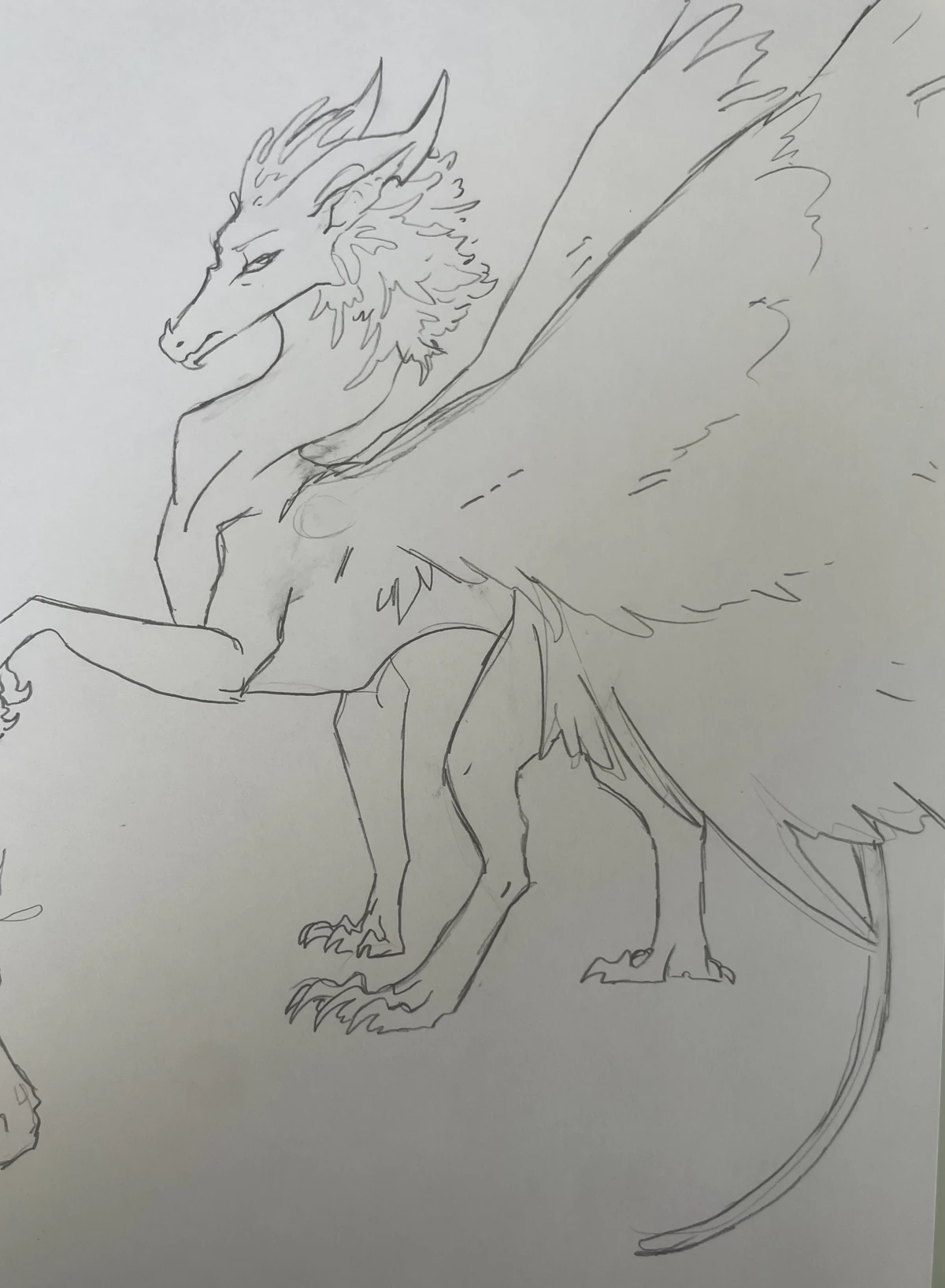 Uulum | The Mage Den Wiki | Fandom