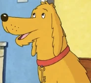 The Magic Key Wiki | Fandom