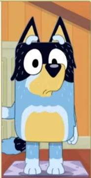 Bandit Heeler | The Mappen Family Encyclopedia Wiki | Fandom