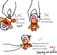 TOAD | House of Horrorbrews Wiki | Fandom