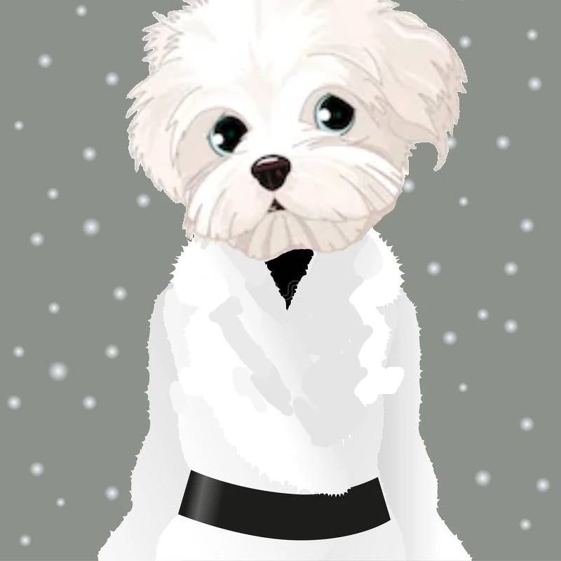 Maltese | The Masked Singer (Magic Edition) Wiki | Fandom