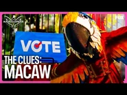Macaw (US) | The Masked Singer Wiki | Fandom