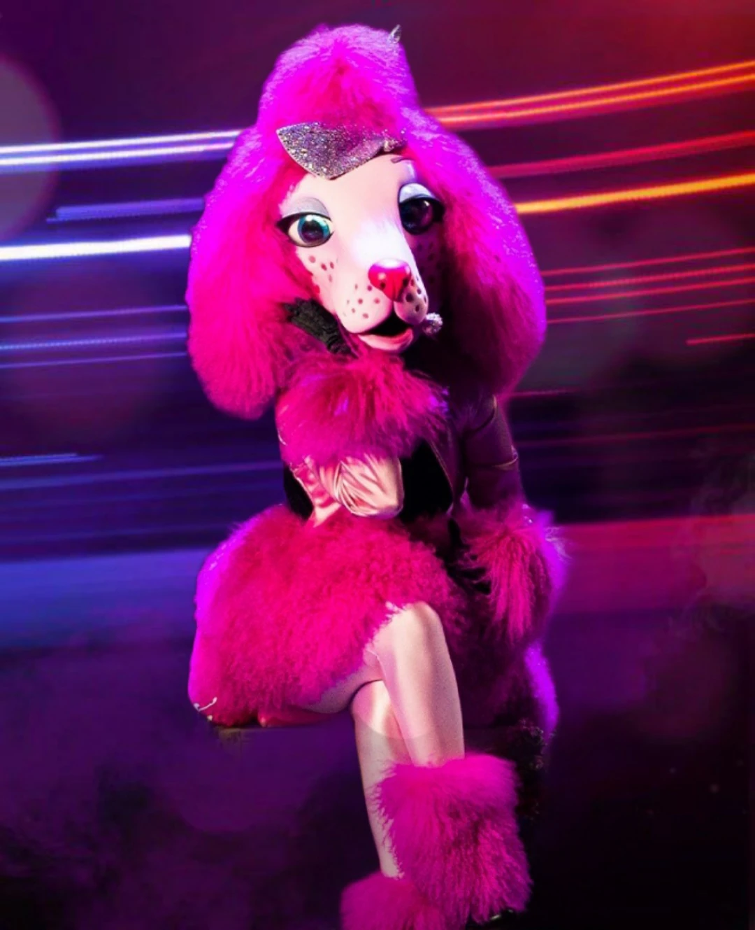Poodle (AU) | The Masked Singer Wiki | Fandom