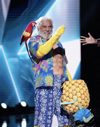 Pineapple | The Masked Singer Wiki | Fandom