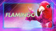 Flamingo (US) | The Masked Singer Wiki | Fandom