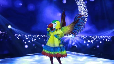 Discuss Everything About The Masked Singer Wiki | Fandom