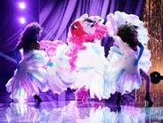 Flamingo (US) | The Masked Singer Wiki | Fandom