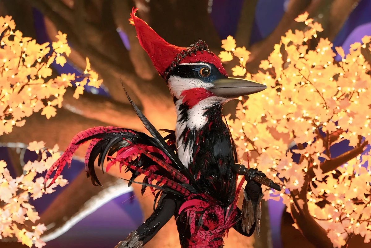 Group A Finals: Soundtrack of My Life | The Masked Singer Wiki | Fandom