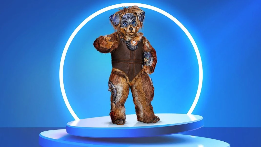 Discuss Everything About The Masked Singer Wiki | Fandom