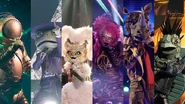 Frog (US) | The Masked Singer Wiki | Fandom
