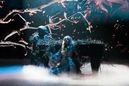 Sokol | The Masked Singer Wiki | Fandom