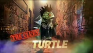 Turtle (US) | The Masked Singer Wiki | Fandom