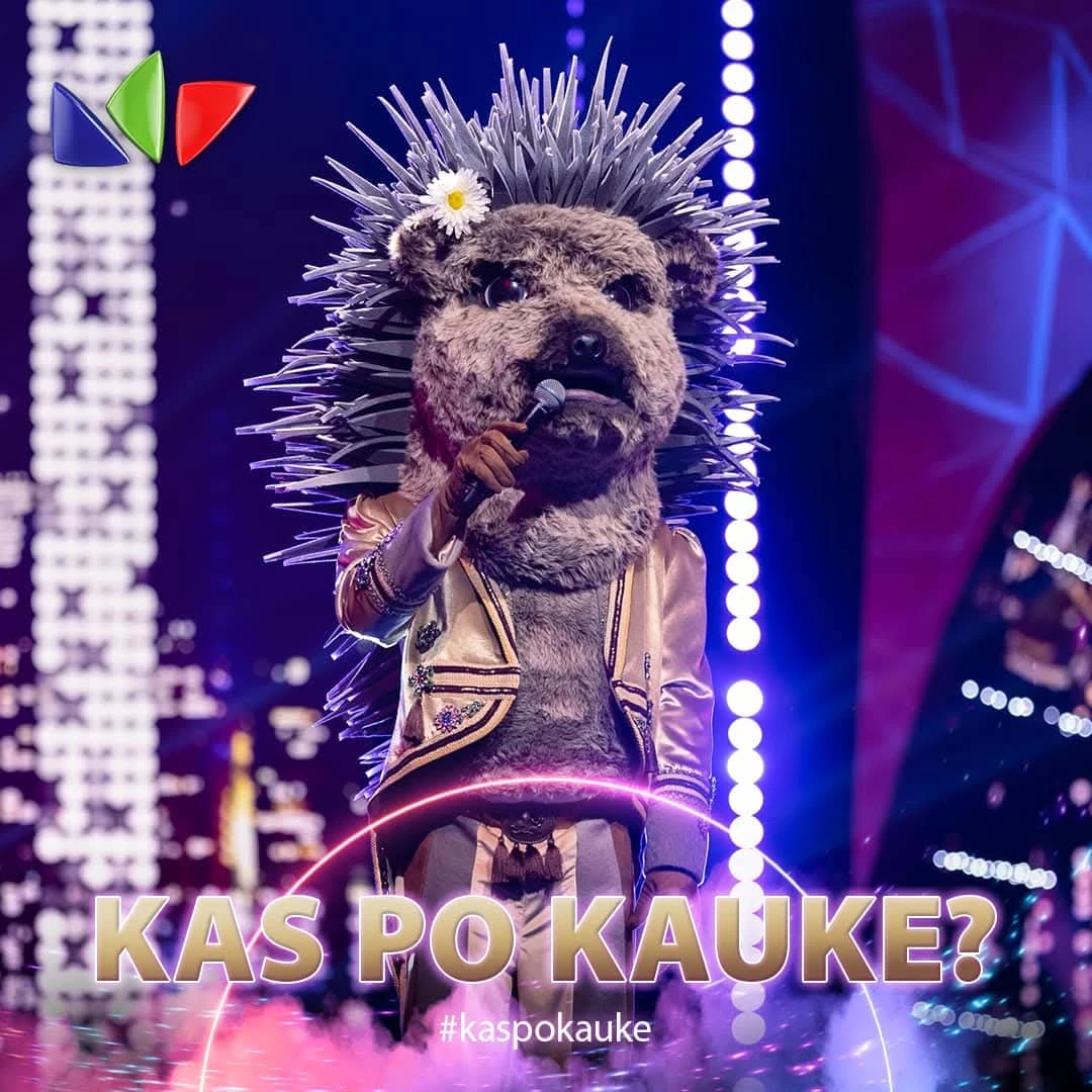 Ežiukas | The Masked Singer Wiki | Fandom