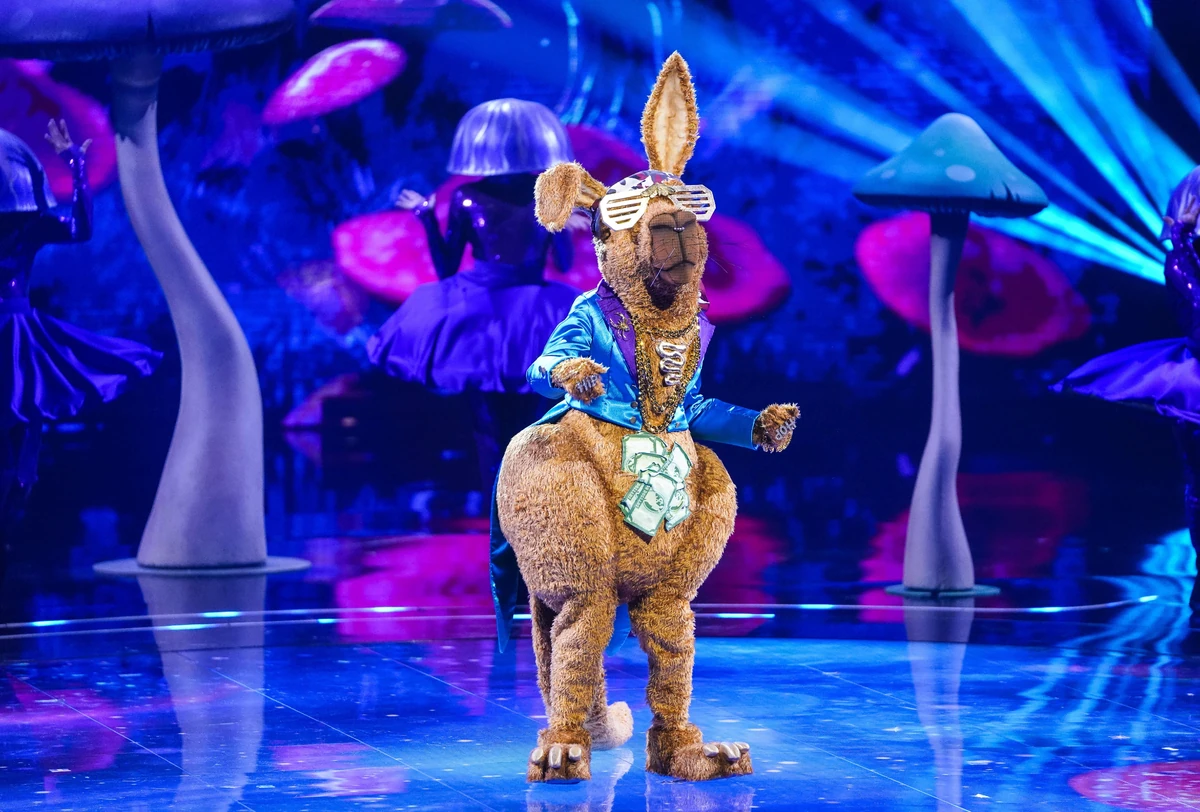 Kangaroo (UK) | The Masked Singer Wiki | Fandom